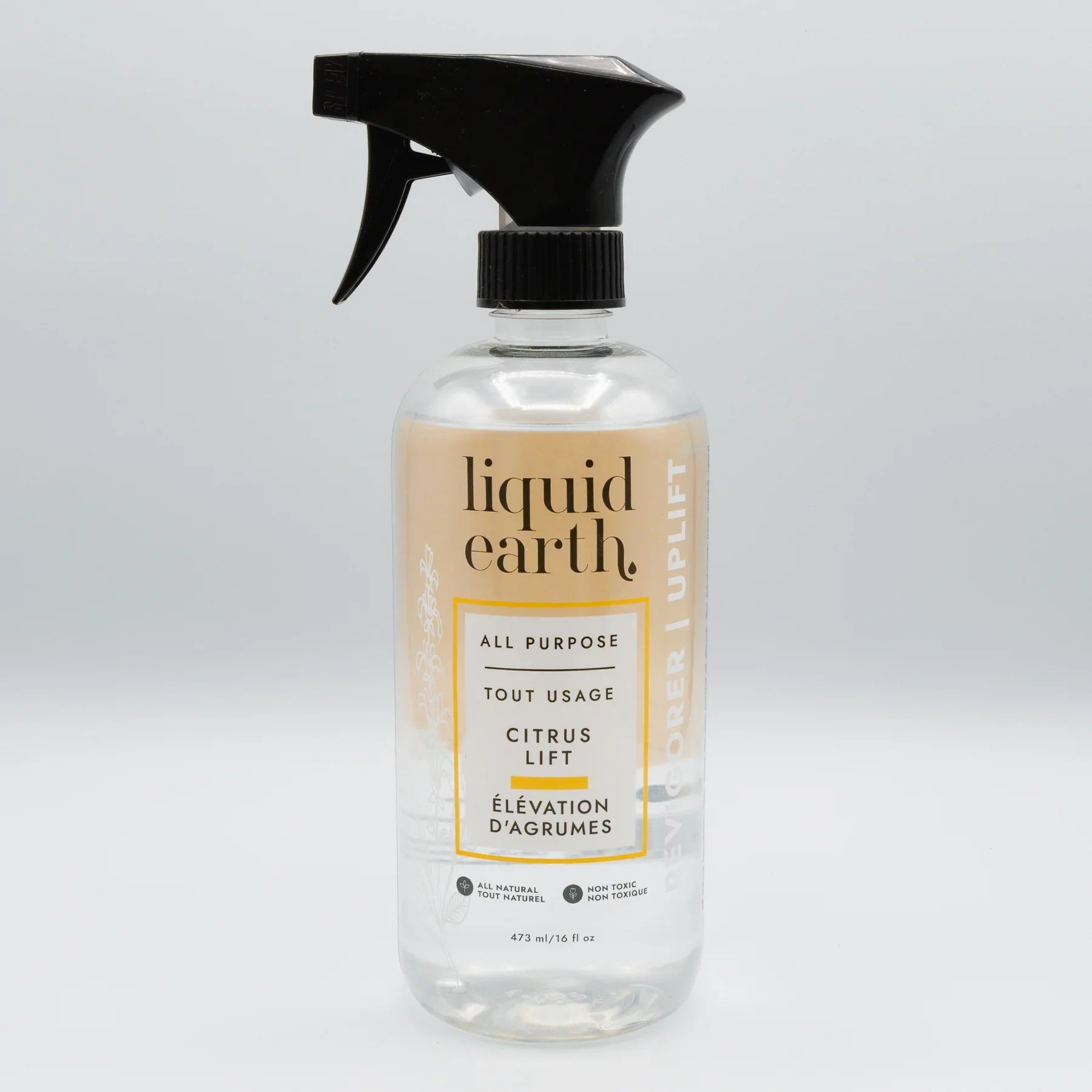 Liquid Earth - Citrus Lift All Purpose Cleaner | Natural, Non-Toxic ...